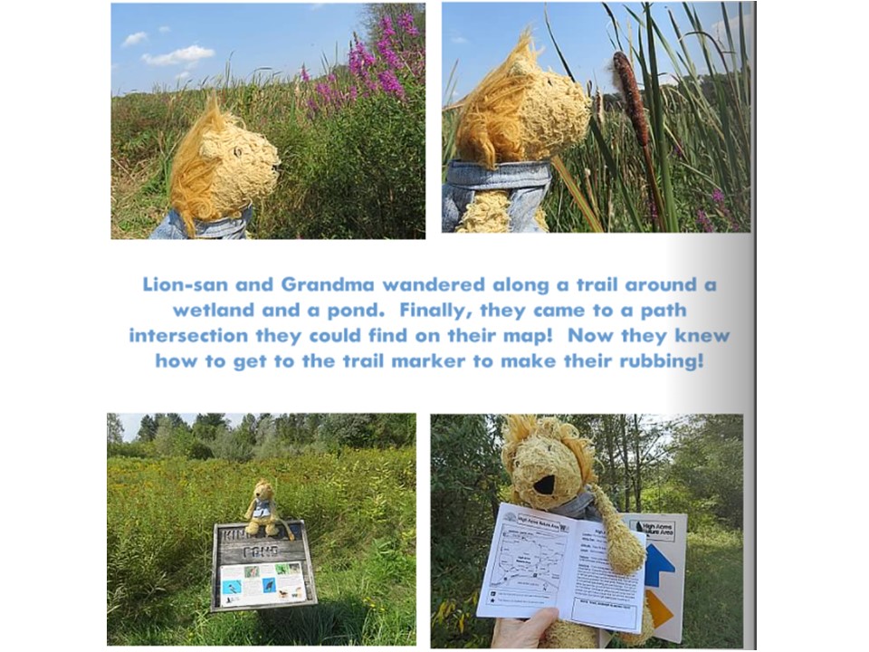 Lion-san Hikes the Perinton Trails – The Further Adventures of Lion-san