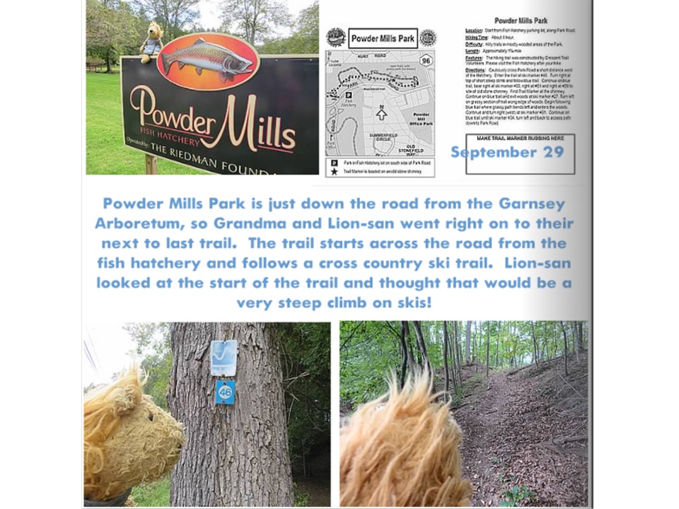 Lion-san Hikes the Perinton Trails – The Further Adventures of Lion-san